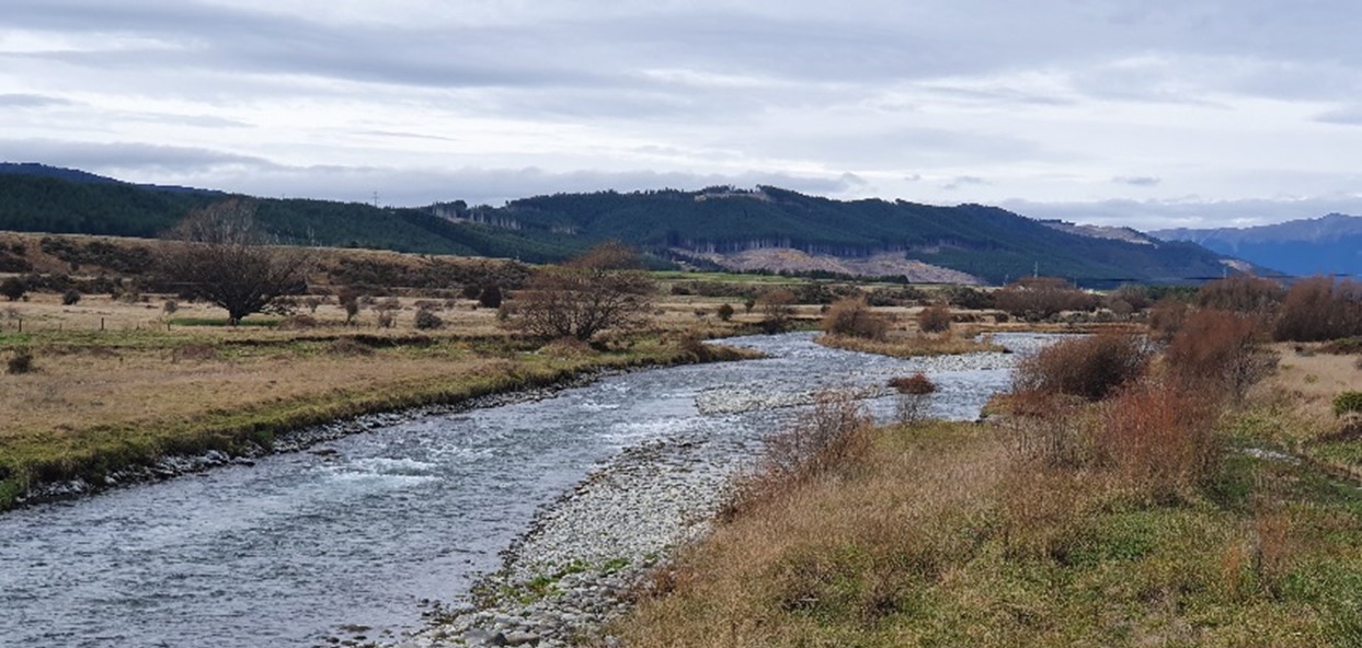River Grading – PRANZ